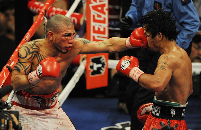 Photos - Manny Pacquiao vs Miguel Cotto - Boxing news - BOXNEWS.com.ua Photos - Manny Pacquiao vs Miguel Cotto - Boxing news - BOXNEWS.com.ua